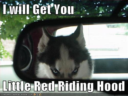 Modern Day Fairy Tales - I Has A Hotdog - Dog Pictures - Funny pictures ...