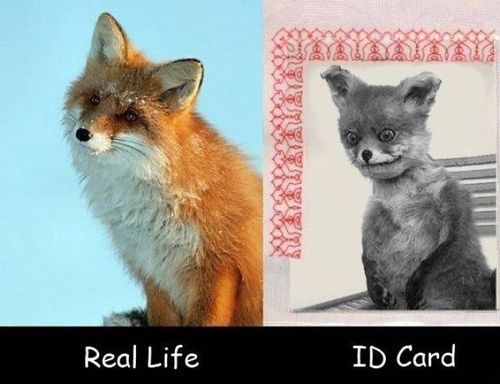 The DMV Has the Crappiest Cameras - Memebase - Funny Memes