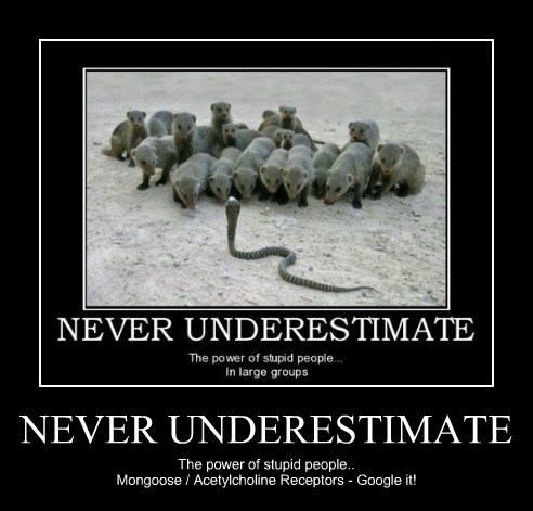 Memebase - mongoose - All Your Memes In Our Base - Funny Memes ...