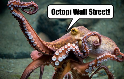Puns - octopus - Funny Puns - Pun Pictures - Cheezburger