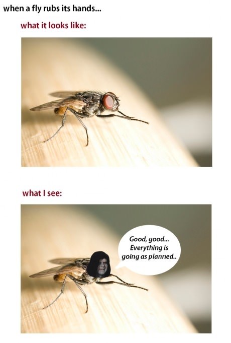 Come to the Fly Side - Memebase - Funny Memes