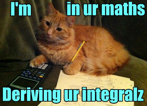 If Only Ai Culd Haz Fingies Fur Dis Quackulater - Lolcats - lol | cat ...