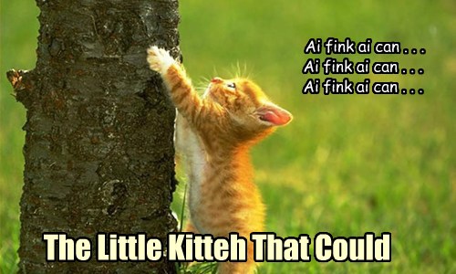 Gotta Keep Your Claws On The Prize - Lolcats - lol | cat memes | funny ...