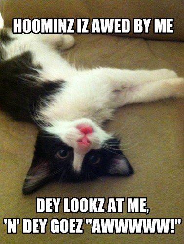 HOOMINZ IZ AWED BY ME - Lolcats - lol | cat memes | funny cats | funny ...