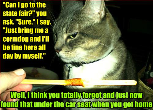 Plus, What Do I Want With Only the Stick? - Lolcats - lol | cat memes ...