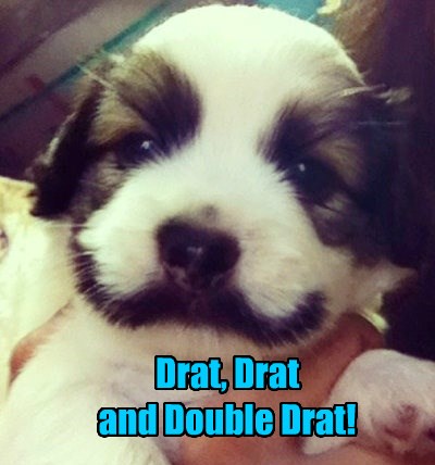 Mutt Dastardly - I Has A Hotdog - Dog Pictures - Funny pictures of dogs ...