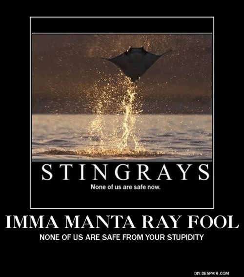 Very Demotivational - manta ray - Very Demotivational Posters - Start ...