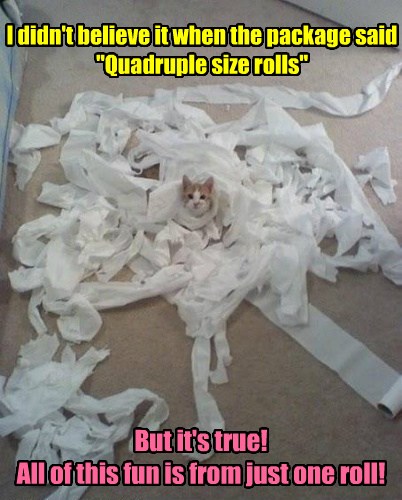 I Love Modern Packaging Options, Don't You? - Lolcats - lol | cat memes ...