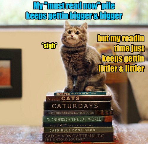 The Book-Collector's Irony - Lolcats - lol | cat memes | funny cats ...