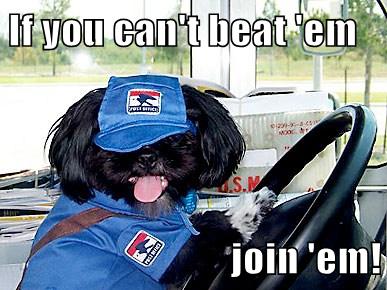 Sparky Was Really Just Envious the Whole Time - I Has A Hotdog - Dog ...