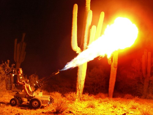 The Best Wheelchair in the World Spits HOT FIRE - WIN! - epic win photos