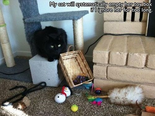 Lolcats - toys - Page 3 - LOL at Funny Cat Memes - Funny cat pictures ...