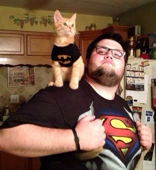 You Were Supposed to be Robin, Human! - Lolcats - lol | cat memes ...
