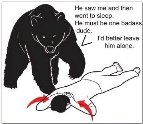 Why Bears Leave You Alone When You Play Dead - Memebase - Funny Memes