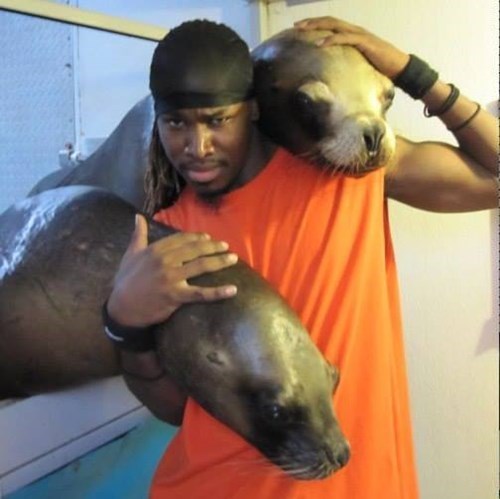 A True Seal Fan - Picture Is Unrelated - Funny Picture | Funny Video ...