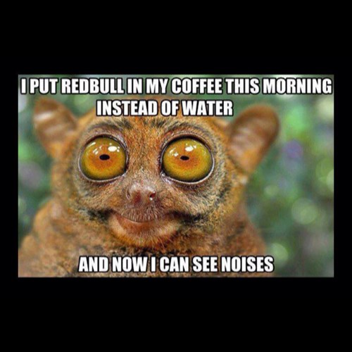 Are You Awake Yet? - Animal Comedy - Animal Comedy, funny animals ...