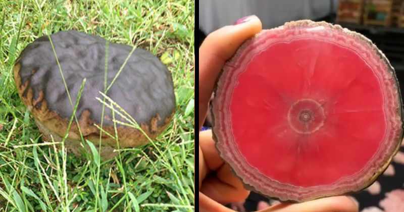 29 Delectable Looking Objects That Are Totally Not for Eating - FAIL ...