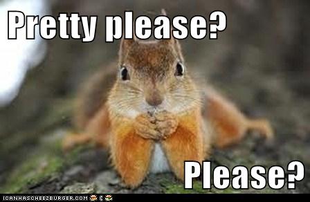 Pretty please? Please? - Cheezburger - Funny Memes | Funny Pictures