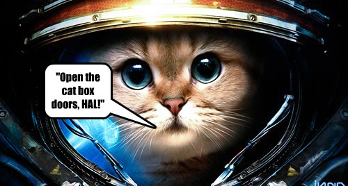 Lolcats - astronaut - LOL at Funny Cat Memes - Funny cat pictures with ...