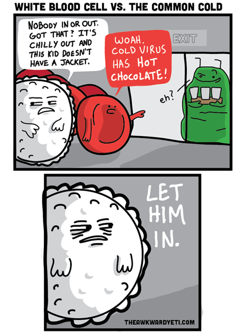 Web Comics - immune system - 4koma comic strip, webcomics, web comics ...