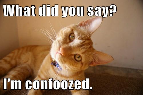 Plz Repeat Yurselfs - Lolcats - lol | cat memes | funny cats | funny ...