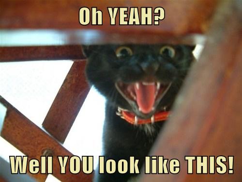 He Told You Off! - Lolcats - lol | cat memes | funny cats | funny cat ...