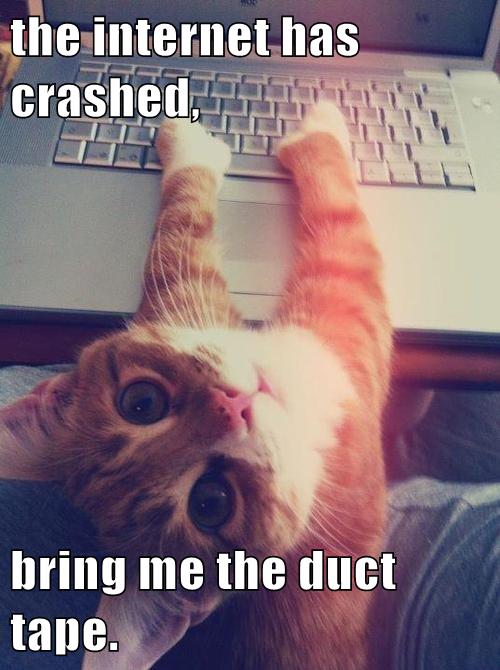 Fix-it Cat to the Rescue! - Lolcats - lol | cat memes | funny cats ...