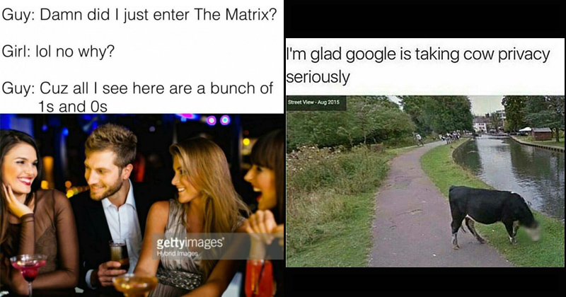 38 Miscellaneous Memes That Serve No Purpose Other Than Comedy ...