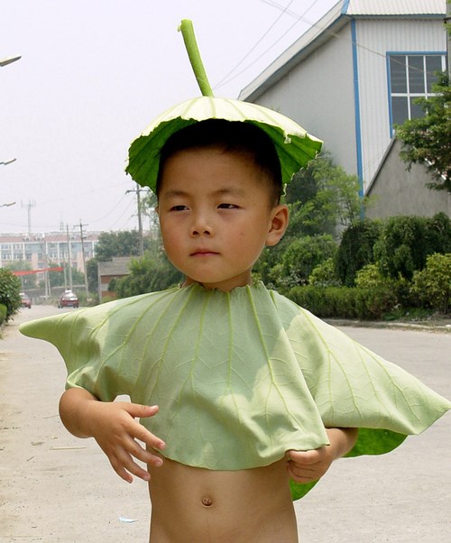 Lettuce All Appreciate This Costume Picture Is Unrelated Funny Picture Funny Video Wtf
