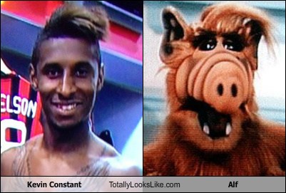 Memebase - Alf - All Your Memes In Our Base - Funny Memes - Cheezburger