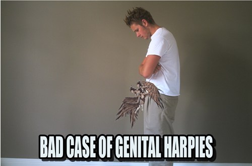 Sexually transmitted mythology - Puns - Pun Pictures