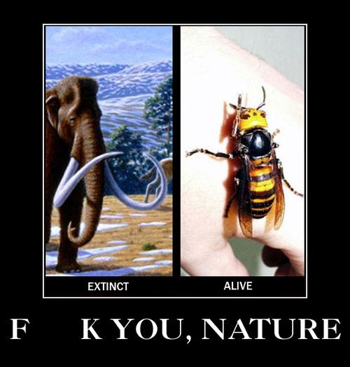 Nature Is a Harsh Mistress - Very Demotivational - Demotivational ...