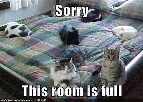 Lolcats - bed - Page 2 - LOL at Funny Cat Memes - Funny cat pictures ...