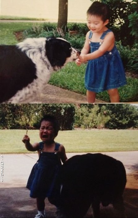 Sheesh...What did She Expect? - I Has A Hotdog - Dog Pictures - Funny ...