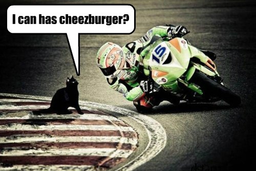Lolcats - motorcycle - LOL at Funny Cat Memes - Funny cat pictures with ...