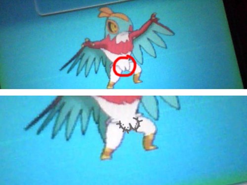 Pokémemes - hawlucha - Pokemon Memes - Pokémon, Pokémon GO - Cheezburger