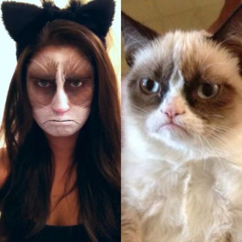 Grumpy Catwoman - Lolcats - lol | cat memes | funny cats | funny cat ...