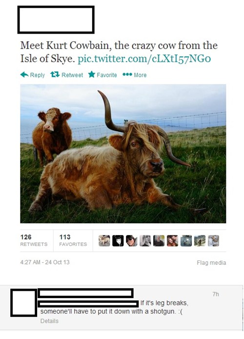 Kurt Cow-bang - Art of Trolling - Troll | Trolling | Yahoo Answers | Omegle