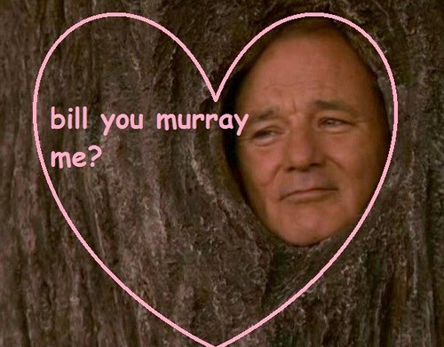 Puns - bill murray - Funny Puns - Pun Pictures - Cheezburger