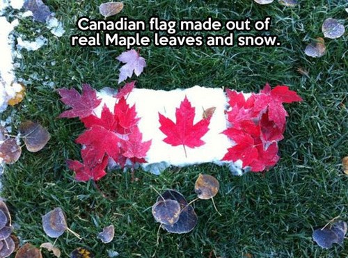 Puns - flag - Funny Puns - Pun Pictures - Cheezburger