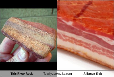 This River Rock Totally Looks Like A Bacon Slab - Totally Looks Like