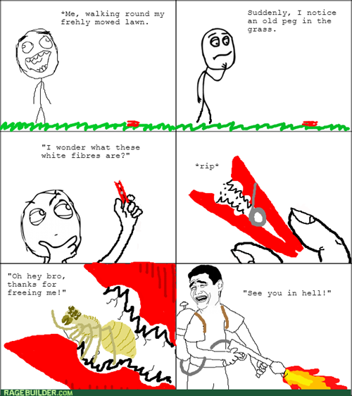 Rage Comics - Page 3 - Rage Comics - rage comics - Cheezburger