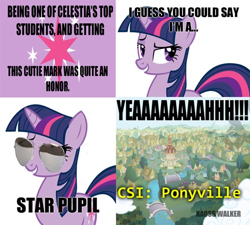 Puns - twilight sparkle - Funny Puns - Pun Pictures - Cheezburger