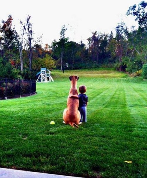 They Both Saw You Throw it...They Just Can't See Where it Went... - I ...