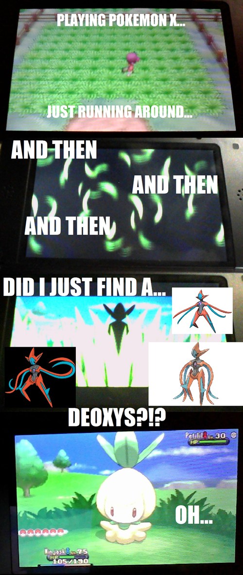 Petilil Trolling Trainers - Pokémemes - Pokémon, Pokémon GO