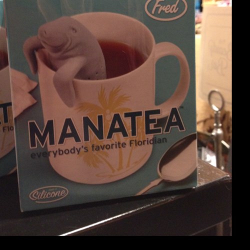 Puns - manatee - Funny Puns - Pun Pictures - Cheezburger