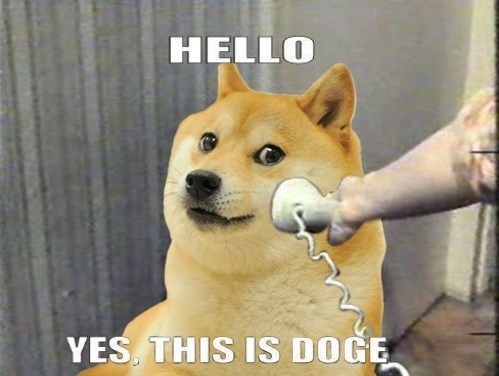 So Doge, Much Wow - Memebase - Funny Memes