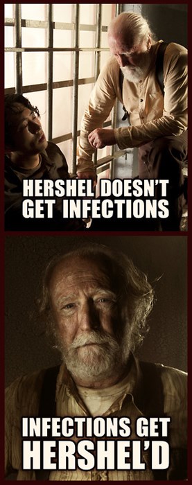 He's A BAMF - The Walking Dead - The Walking Dead Meme | TWD Memes ...