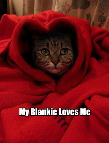 Of Course it Does! - Lolcats - lol | cat memes | funny cats | funny cat ...