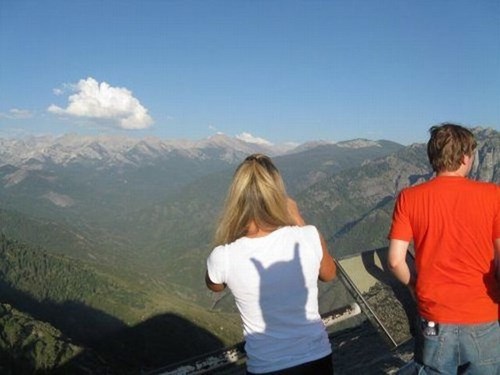 Even the Bat Needs to do Some Sightseeing - WIN! - epic win photos